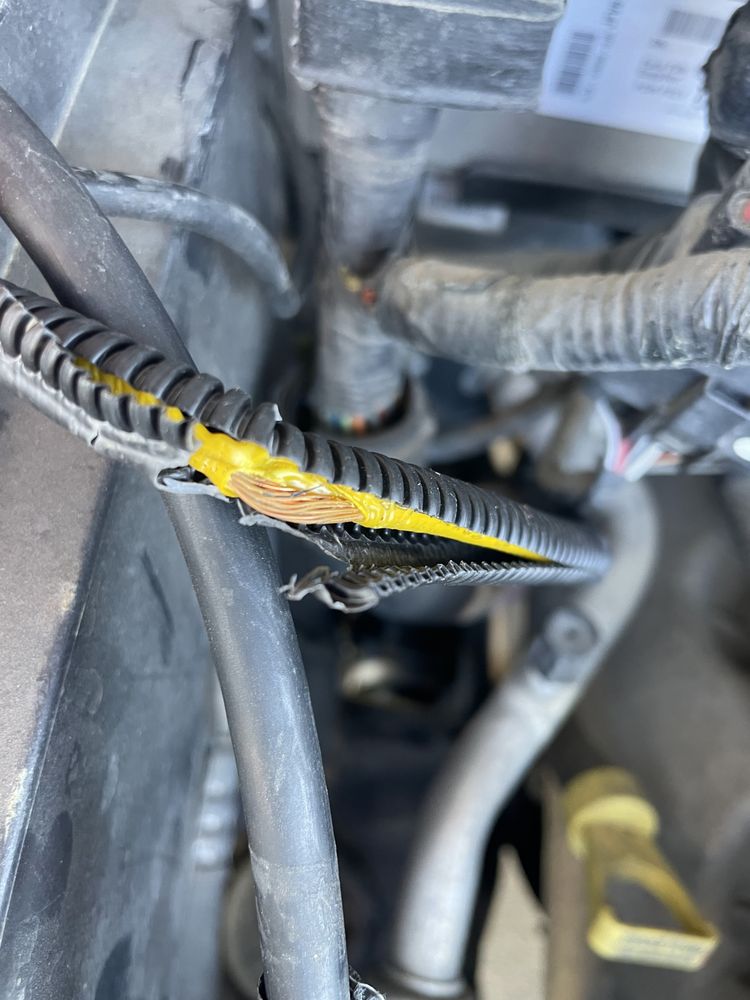 CAMPING WORLD RV SALES - Updated December 2025 - 40 Photos & 78 Reviews ...