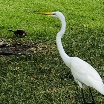 SCHENLEY PARK - Updated December 2025 - 15 Photos - 2750 SW 57th Ave ...