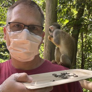 MONKEY JUNGLE - 361 Photos & 180 Reviews - Zoos - 14805 SW 216th St ...