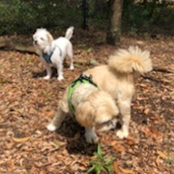 CONESTEE PARK - Updated December 2025 - 24 Photos & 15 Reviews - 840 ...