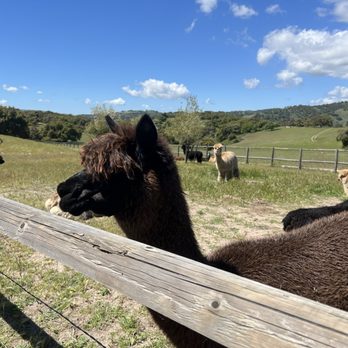 ZACA CREEK RANCH - Updated May 2025 - 126 Photos & 28 Reviews ...