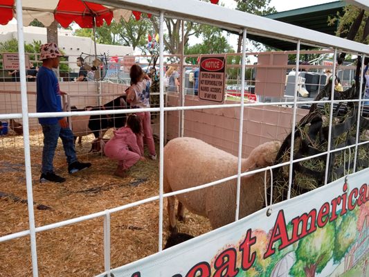 NEW MEXICO STATE FAIR - Updated December 2025 - 296 Photos & 56 Reviews ...