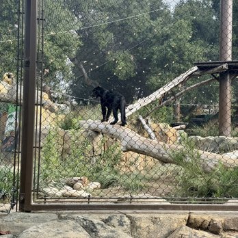 OC ZOO IRVINE REGIONAL PARK - Updated February 2025 - 56 Photos & 29 ...