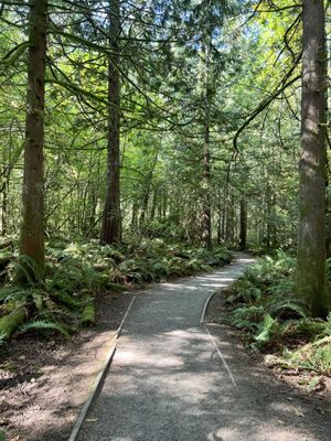 AROUND THE LAKE TRAIL - Updated December 2025 - Tiger Mountain Trl ...