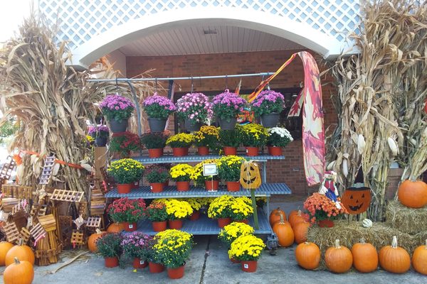 FLOWERAMA - MIDDLEBURG HEIGHTS - Updated December 2025 - 57 Photos & 19 ...