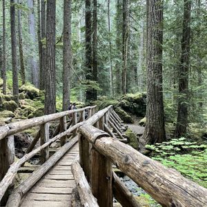 LAKE TRASK TIMBER TRAILS ASSOCIATION - Updated July 2025 - 15 Photos ...