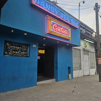 DANDY DEL SUR - Updated November 2025 - 175 Photos & 85 Reviews ...