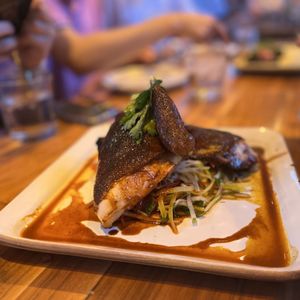 MOLCA SALSA - 346 Photos & 730 Reviews - 115 Imperial Hwy, Fullerton ...