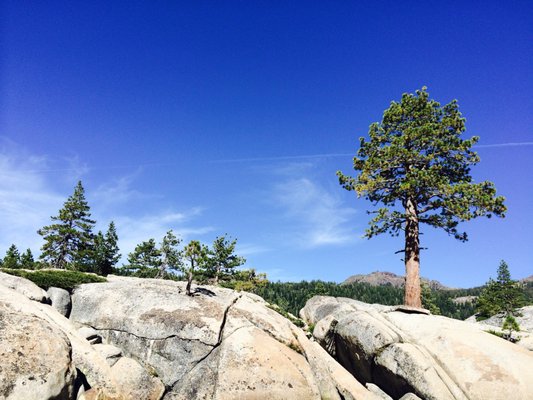 BASSI FALLS - 187 Photos & 35 Reviews - Hiking - El Dorado National ...