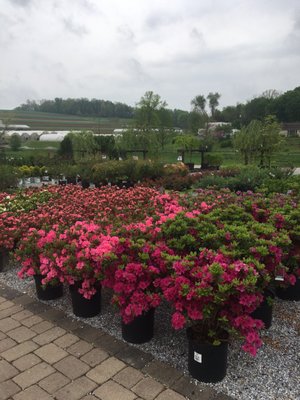 MILLER PLANT FARM - 20 Photos - Nurseries & Gardening - 430 Indian Rock ...