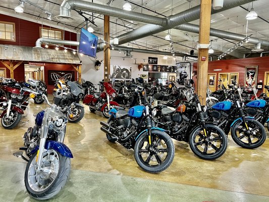 TAMPA BAY HARLEY-DAVIDSON - Updated December 2025 - 268 Photos & 81 ...