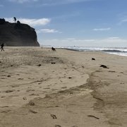 POMPONIO STATE BEACH - 165 Photos & 48 Reviews - Cabrillo Hwy, San ...