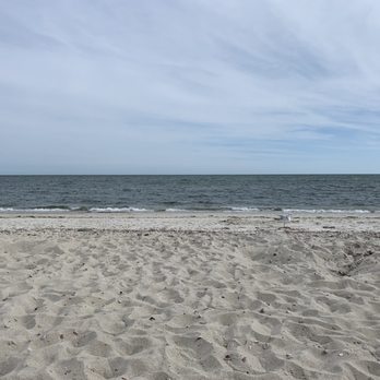 Seagull Beach - Trusted Since 2010 - Updated July 2025 - 55 Photos - 40 ...