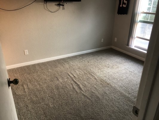 WORLD CLASS CARPET CLEANING - Updated July 2025 - 196 Photos & 475 ...