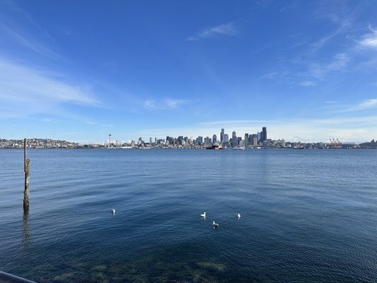 DON ARMENI BOAT RAMP - Updated December 2025 - 29 Photos & 10 Reviews ...