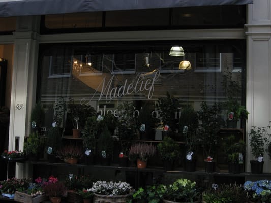 BLOEMBINDERIJ MADELIEF - Updated May 2024 - Haarlemmerdijk 93-WKL ...