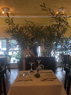 FRESH RESTAURANT - Updated May 2024 - 169 Photos & 130 Reviews - 144 ...