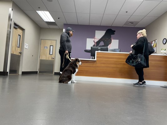 PENINSULA HUMANE SOCIETY & SPCA - Updated December 2025 - 83 Photos ...