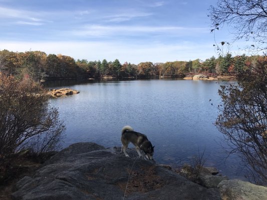 BREAKHEART RESERVATION - 148 Photos & 80 Reviews - Parks - 177 Forest ...