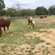 SUSON PARK - 129 Photos & 30 Reviews - Parks - 6059 Wells Rd, Saint ...