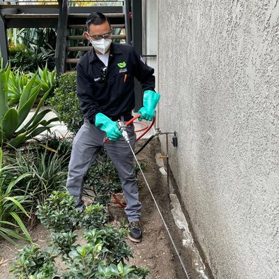 ALLURE PEST MANAGEMENT - 383 Photos & 479 Reviews - 20 Via Tranquila ...