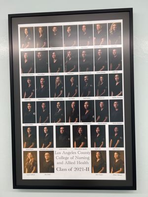 LOS ANGELES COUNTY COLLEGE OF NURSING AND ALLIED HEALTH - Updated ...