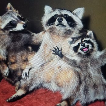 CASTLE PERILOUS GAMES AND BOOKS - Updated January 2026 - 15 Photos & 13 ...