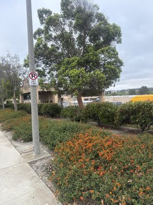 MANHEIM SAN DIEGO - Updated December 2025 - 15 Reviews - 4691 Calle ...