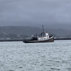 ASHES SCATTERING CIRCLE OF REMEMBRANCE - Funeral Services & Cemeteries ...