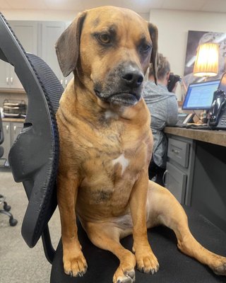 STEVEN W BAAK, MD - Updated December 2025 - 33 Photos - 3440 DePaul Ln ...