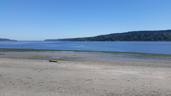 ANDERSON POINT COUNTY PARK - Updated December 2025 - SE Milihanna Rd ...