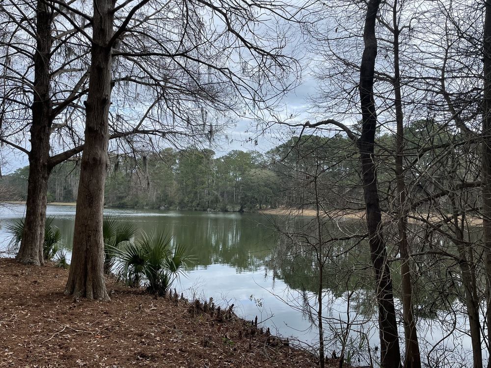 SEA PINES FOREST PRESERVE - Updated July 2025 - 77 Photos & 10 Reviews ...