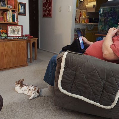 RURAL KING - Updated December 2025 - 12 Photos - 1501 N Wayne St ...