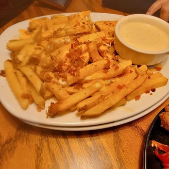 OUTBACK STEAKHOUSE - Updated March 2025 - 76 Photos & 126 Reviews ...