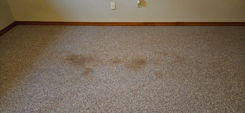 COIT CLEANING AND RESTORATION - Updated October 2025 - 15 Photos & 15 ...