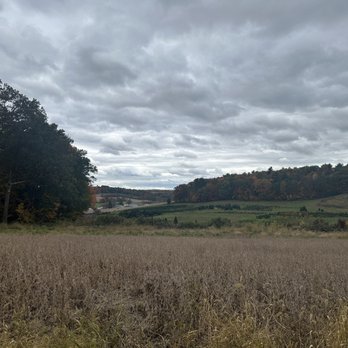 BLUE RIDGE ESTATE VINEYARD & WINERY - Updated July 2024 - 557 Photos ...