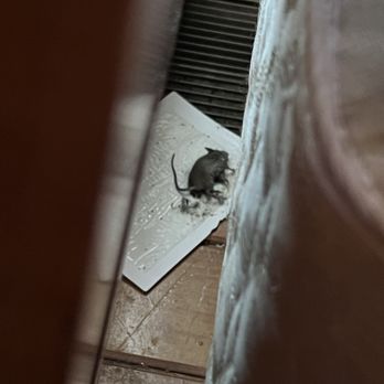 FAIRVIEW BED AND BREAKFAST - Updated December 2025 - 12 Photos & 32 ...