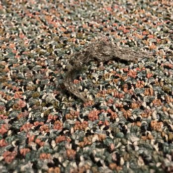 SPRINGFIELD YMCA - Updated April 2025 - 108 Photos & 60 Reviews - 194 W ...