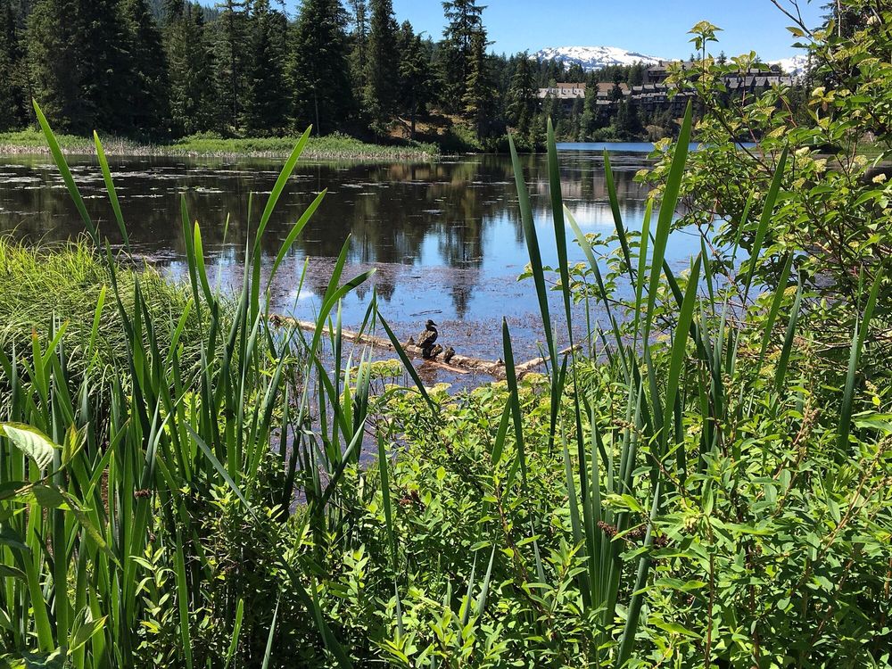 ALPHA LAKE PARK - Updated December 2025 - 18 Photos - Valley Trail ...