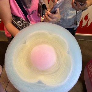 THE ANNEX FOOD HALL - 286 Photos & 84 Reviews - 550 Collection Blvd ...