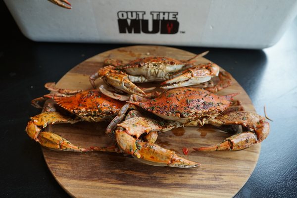 OUT THE MUD CRAWFISH - Updated September 2025 - Pearland, Texas ...