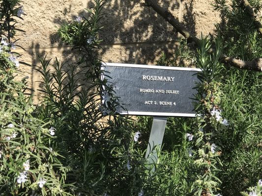 BLOUNT COUNTY PUBLIC LIBRARY - Updated December 2025 - 18 Photos & 14 ...