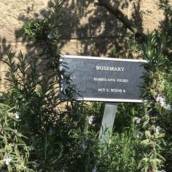 BLOUNT COUNTY PUBLIC LIBRARY - 13 Photos - 508 N Cusick, Maryville ...