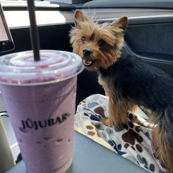 JUJU BAR - Updated June 2024 - 696 Photos & 747 Reviews - 19040 Van ...