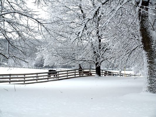 KNOLLWOOD FARM - Updated December 2025 - 2800 Oakwood Rd, Hartland ...