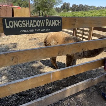 LONGSHADOW RANCH VINEYARD AND WINERY - Updated May 2024 - 633 Photos ...