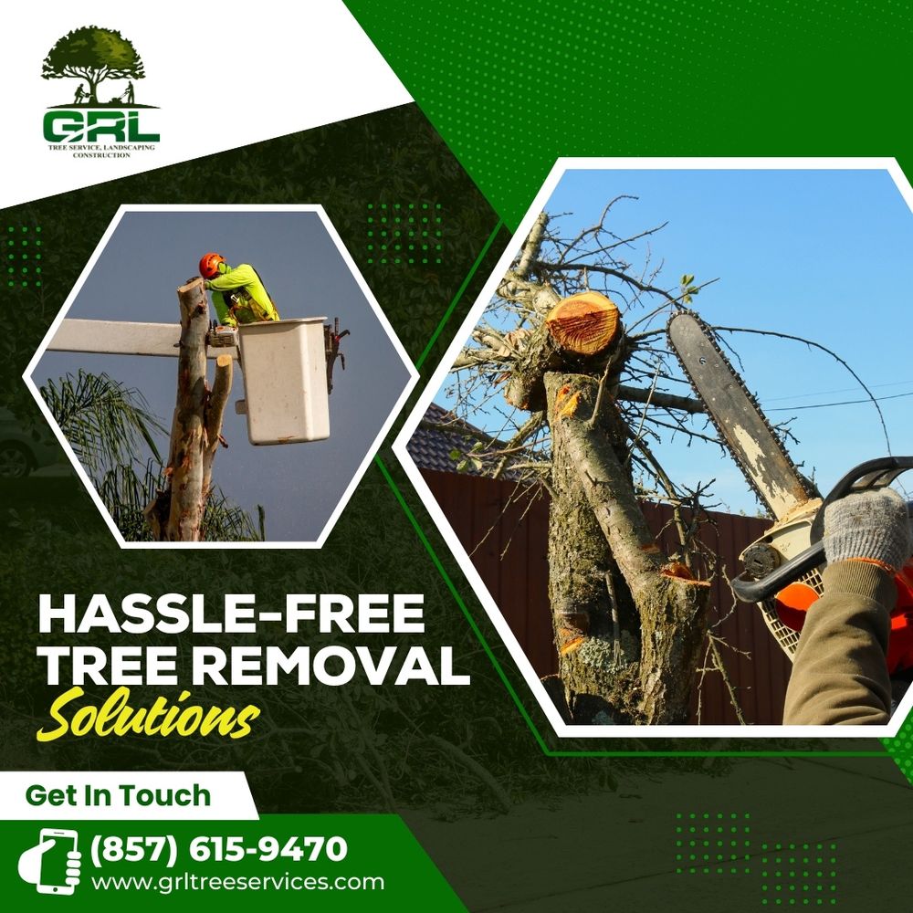 GRL TREE SERVICES LANDSCAPING & CONSTRUCTION - Updated October 2025 ...