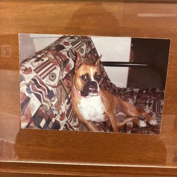 LAZY DOG RESTAURANT & BAR - Updated May 2025 - 2531 Photos & 1672 ...