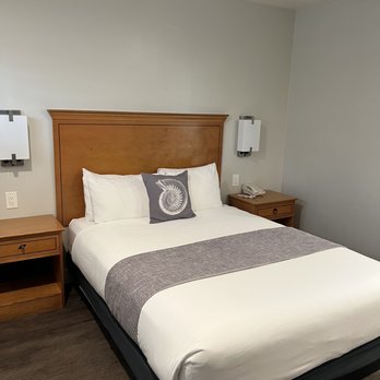 STARGAZER INN & SUITES - Updated June 2024 - 161 Photos & 142 Reviews ...