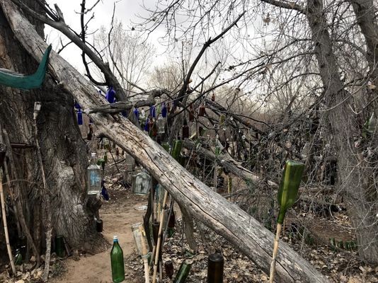 PASEO DEL BOSQUE TRAIL - 111 Photos & 25 Reviews - Along The Rio Grande ...